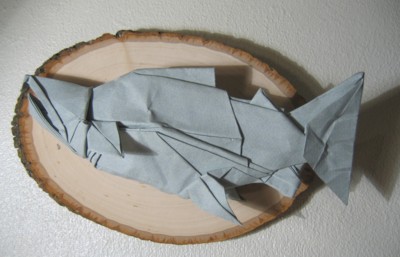 Origami Database - Model - Salmon